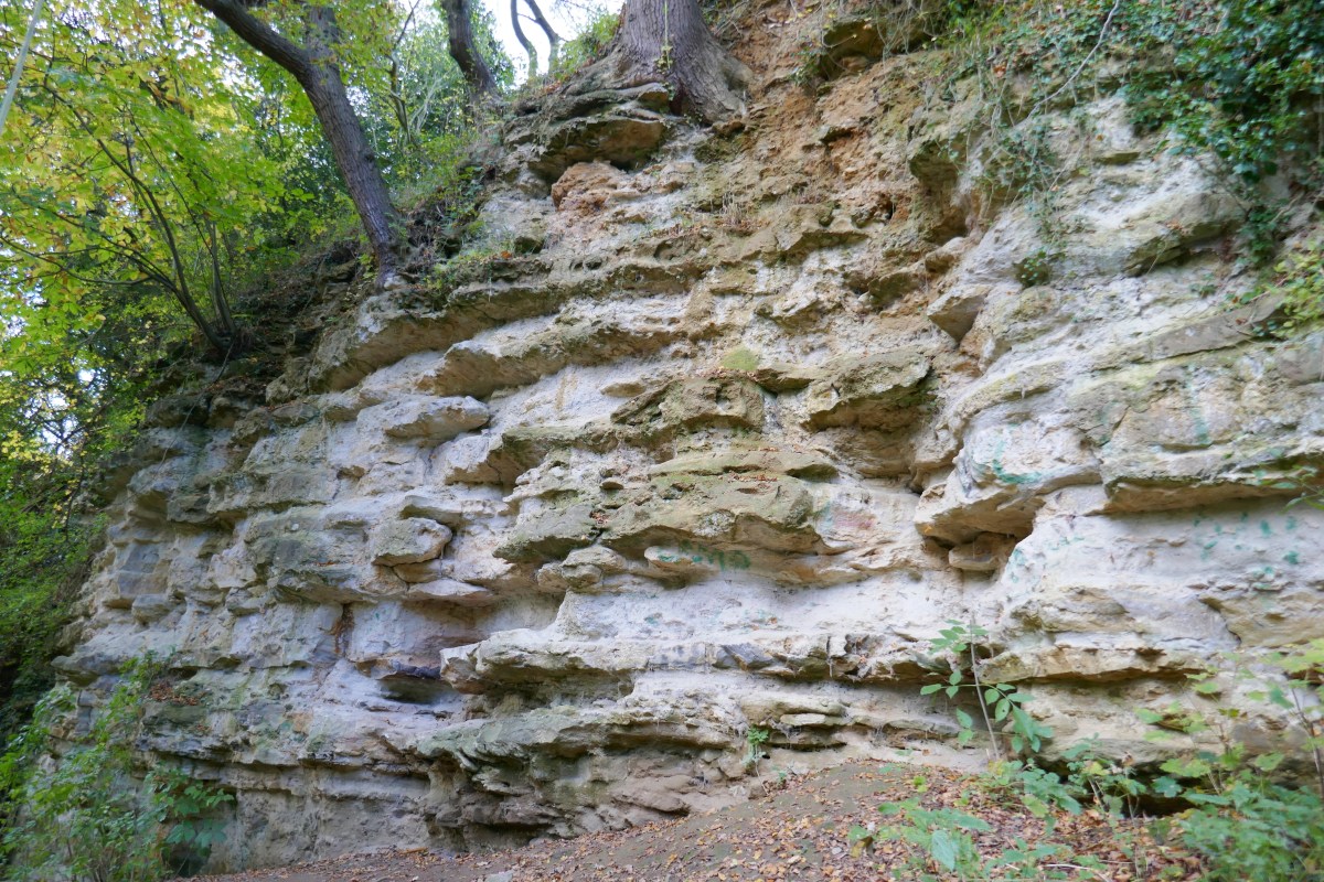 25: Kentish Rag Pt2 – Fox’s Quarry and the Loose Valley near Maidstone ...