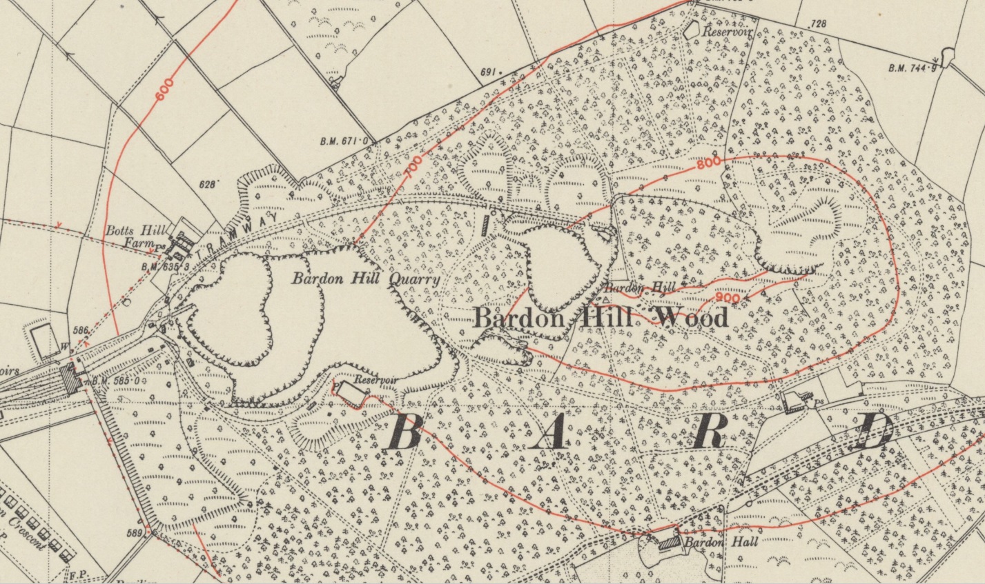 29: Charnwood Forest ‘granites’ Pt.1. Bardon Hill ‘granite’. – Building ...