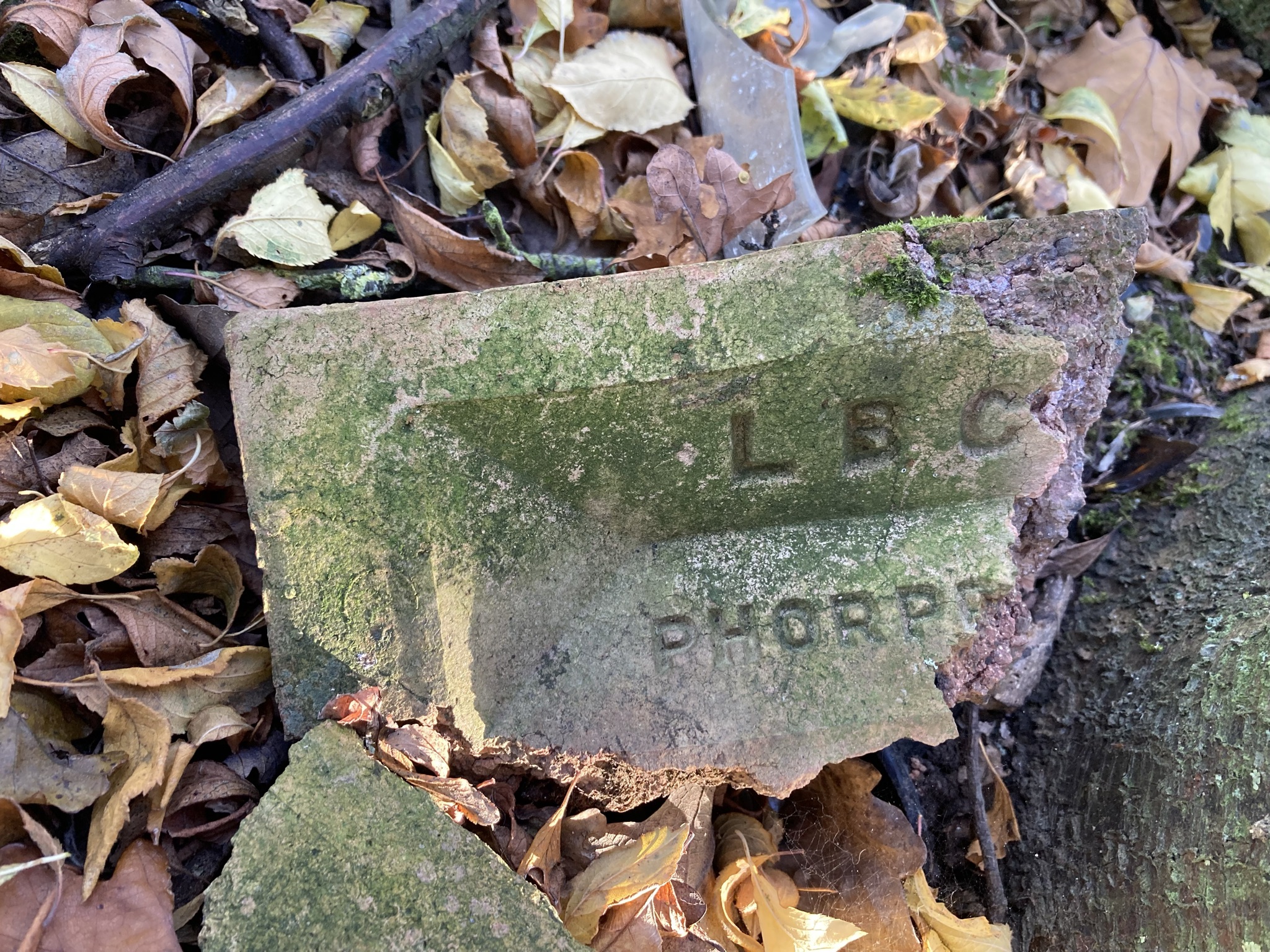 42: The clay that burns! The London Brick Company and the Fletton brick ...