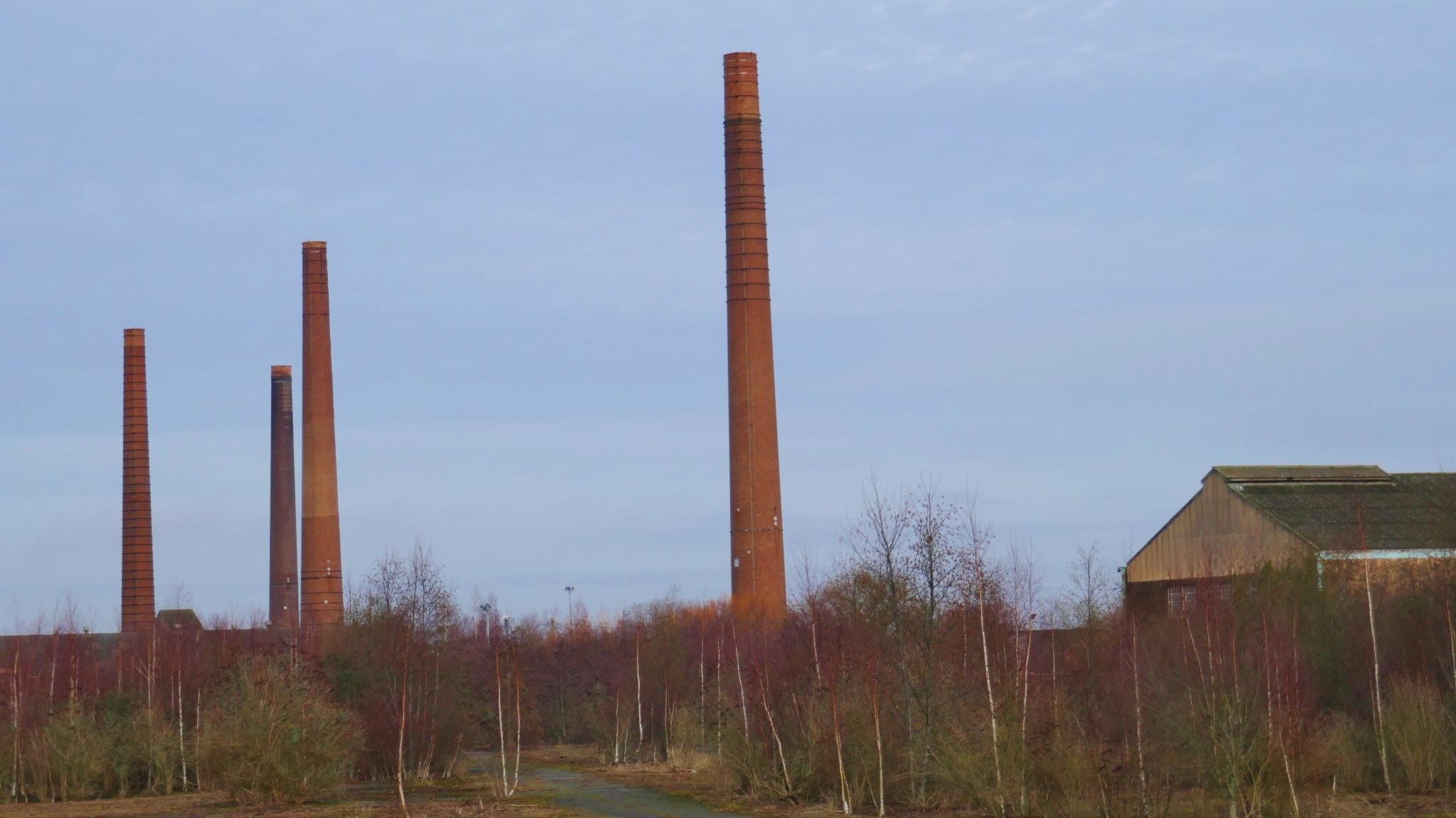 42: The clay that burns! The London Brick Company and the Fletton brick ...