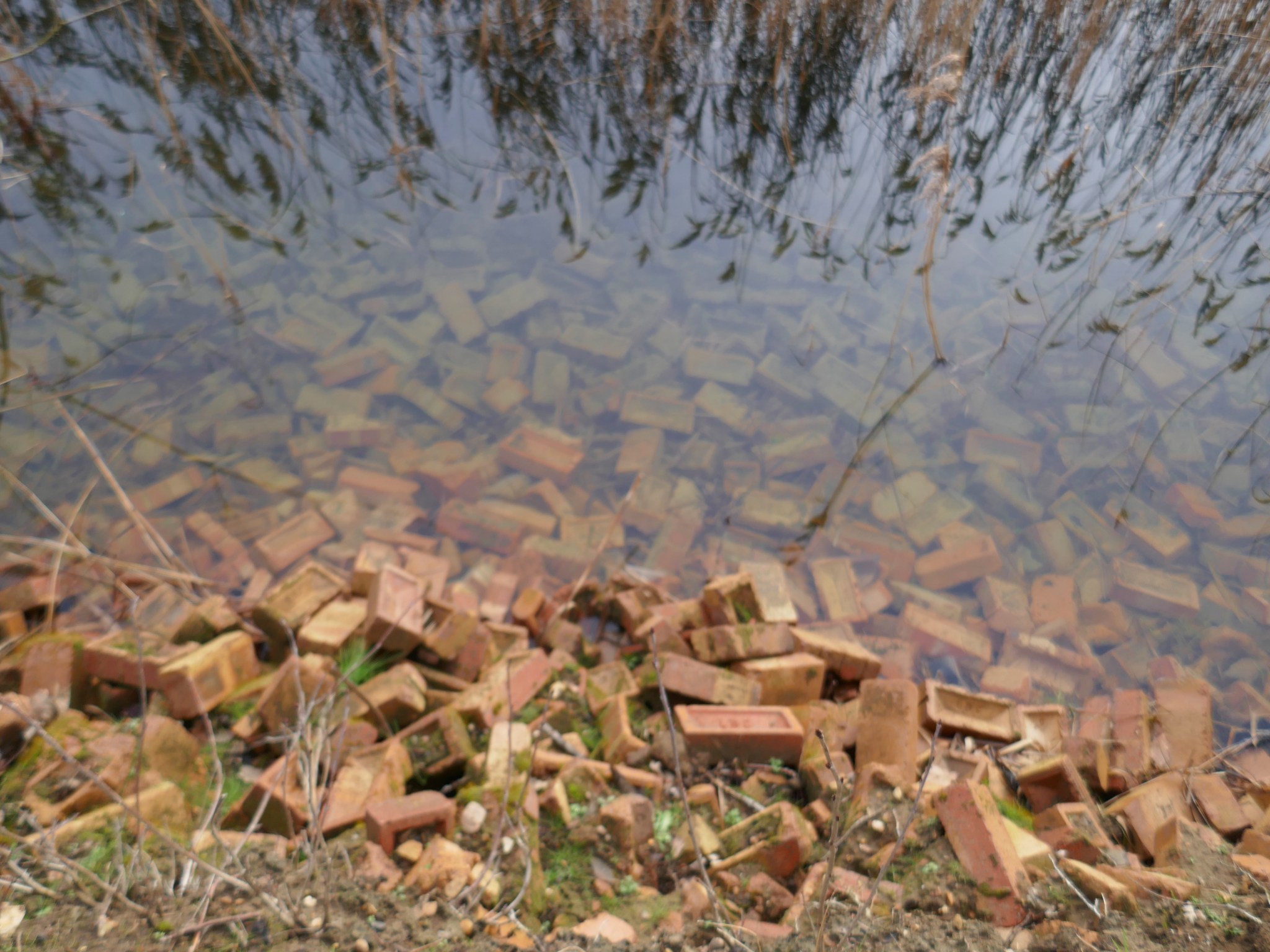 42: The clay that burns! The London Brick Company and the Fletton brick ...