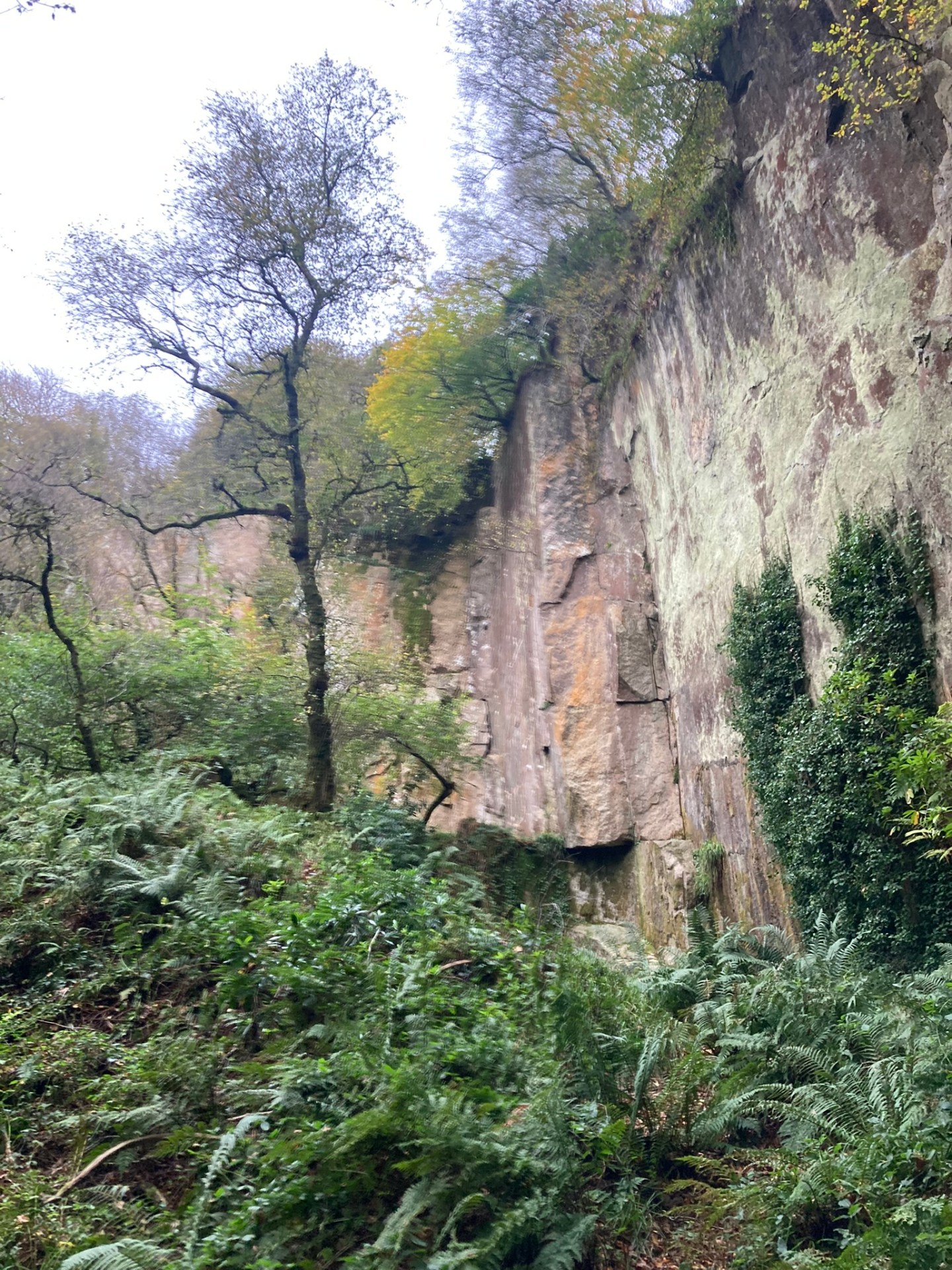 74: Return to Luxulyan: Rock Mill Quarry – Building London – what ...